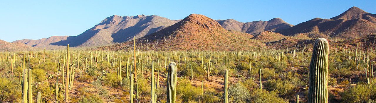 Arizona Inmate Search: Lookup ADC Prison and Arizona County Jail Records.